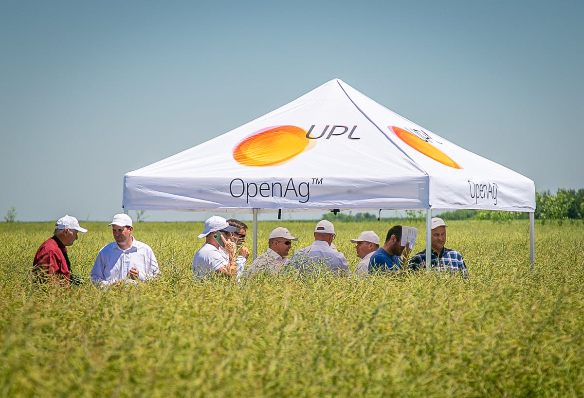 UPL Shares Surge As HSBC Ups Target Price On Advanta Seeds Growth ...